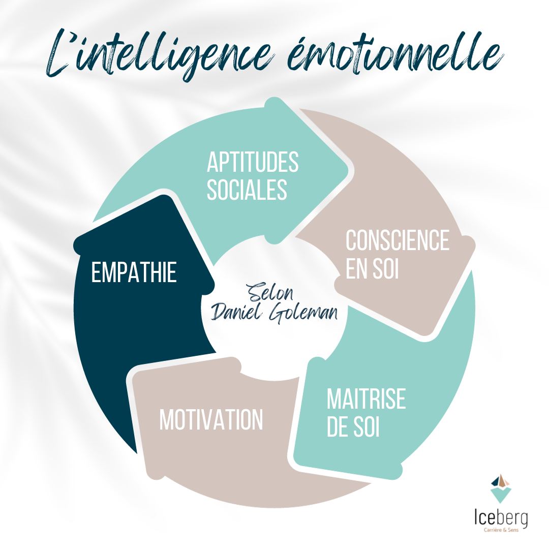 5 raisons de développer votre intelligence émotionnelle (IE) - Iceberg ...